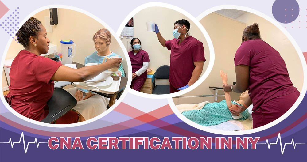 How To Become A CNA In New York Dreambound Blog